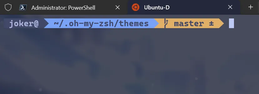 Windows和WSL2的终端主题 - 无敌joker